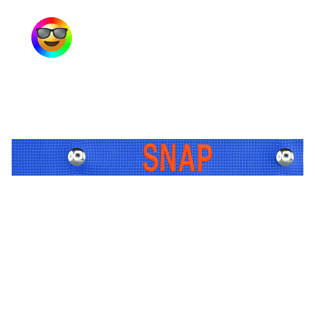 Personalized Embroidered Snap Bag Tag for Luggage and Carryon Bags ...